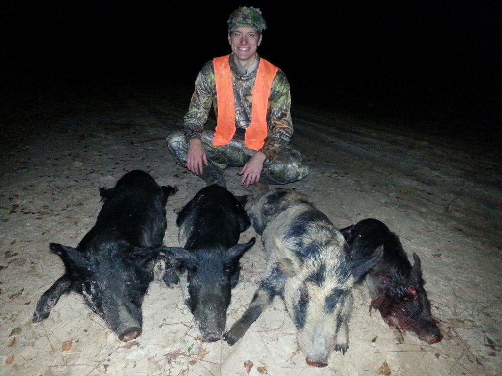 Feral Hog Hunting - Fort Stewart - iSportsman