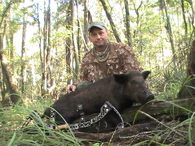 Feral Hog Hunting - Fort Stewart - iSportsman